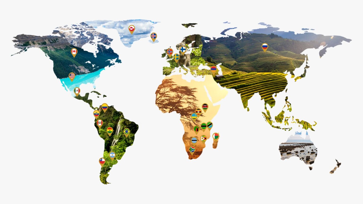 Travmarq – Leading the way in travel representation.